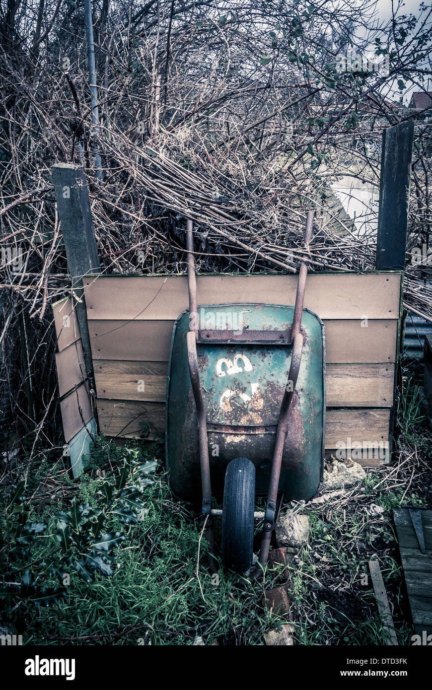 Rusty metal wheelbarrow leaning against compost heap at allotment in ...