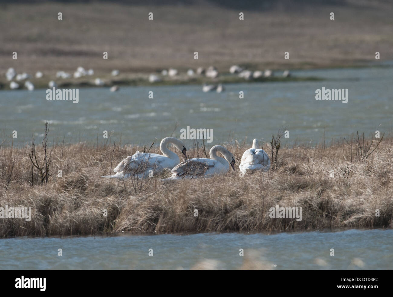 Widewater uk hi-res stock photography and images - Alamy