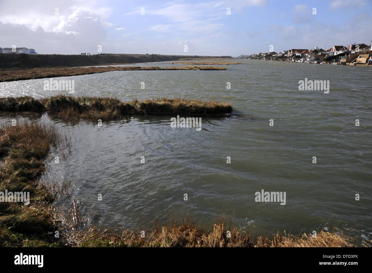 Widewater nature reserve hi-res stock photography and images - Alamy