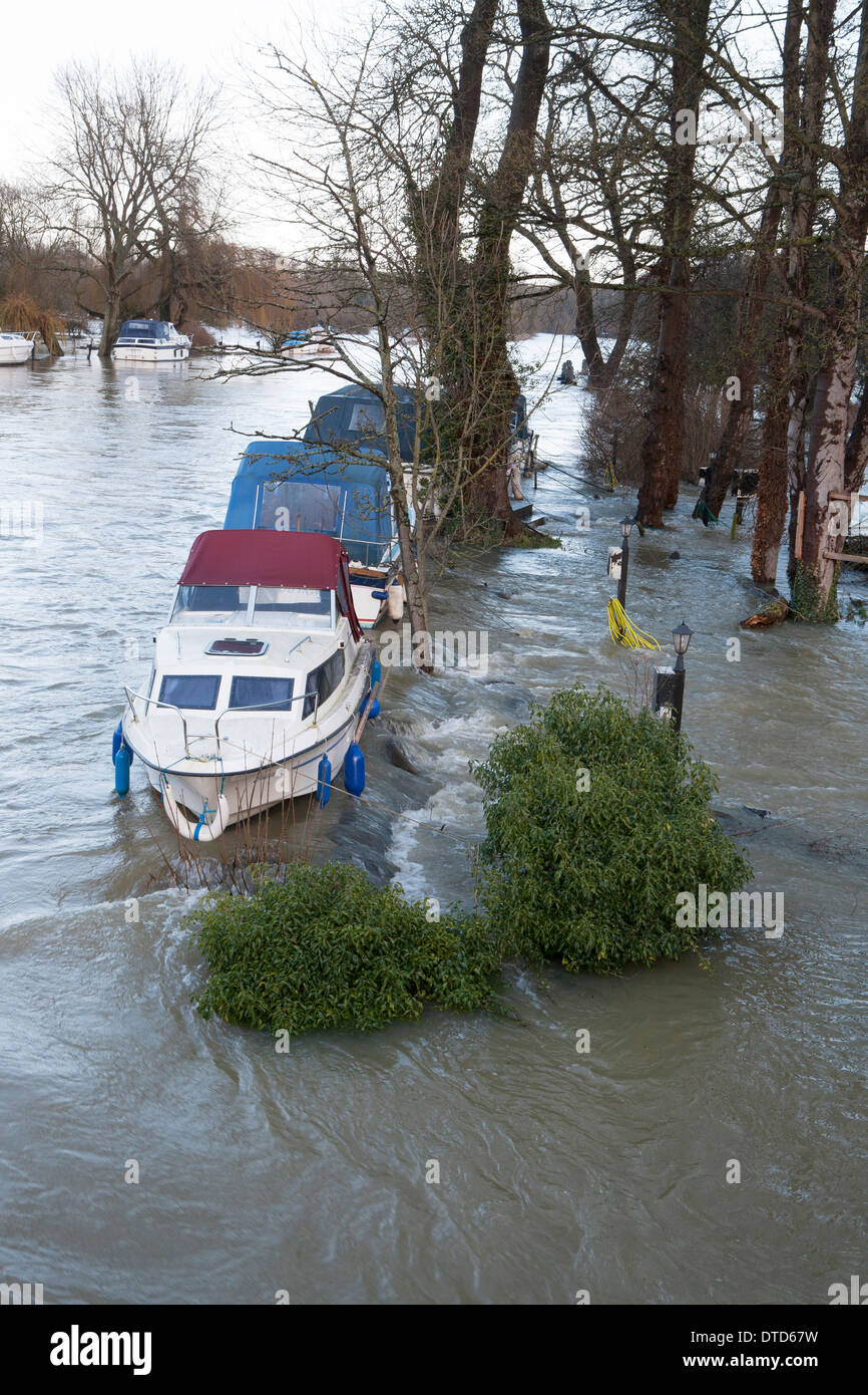 A row of boats on flood water on the River Thames, water has flooded ...
