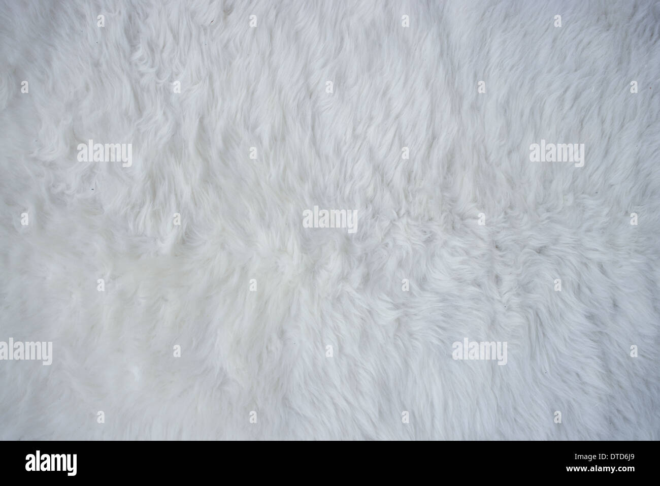 White fur texture Stock Photo - Alamy