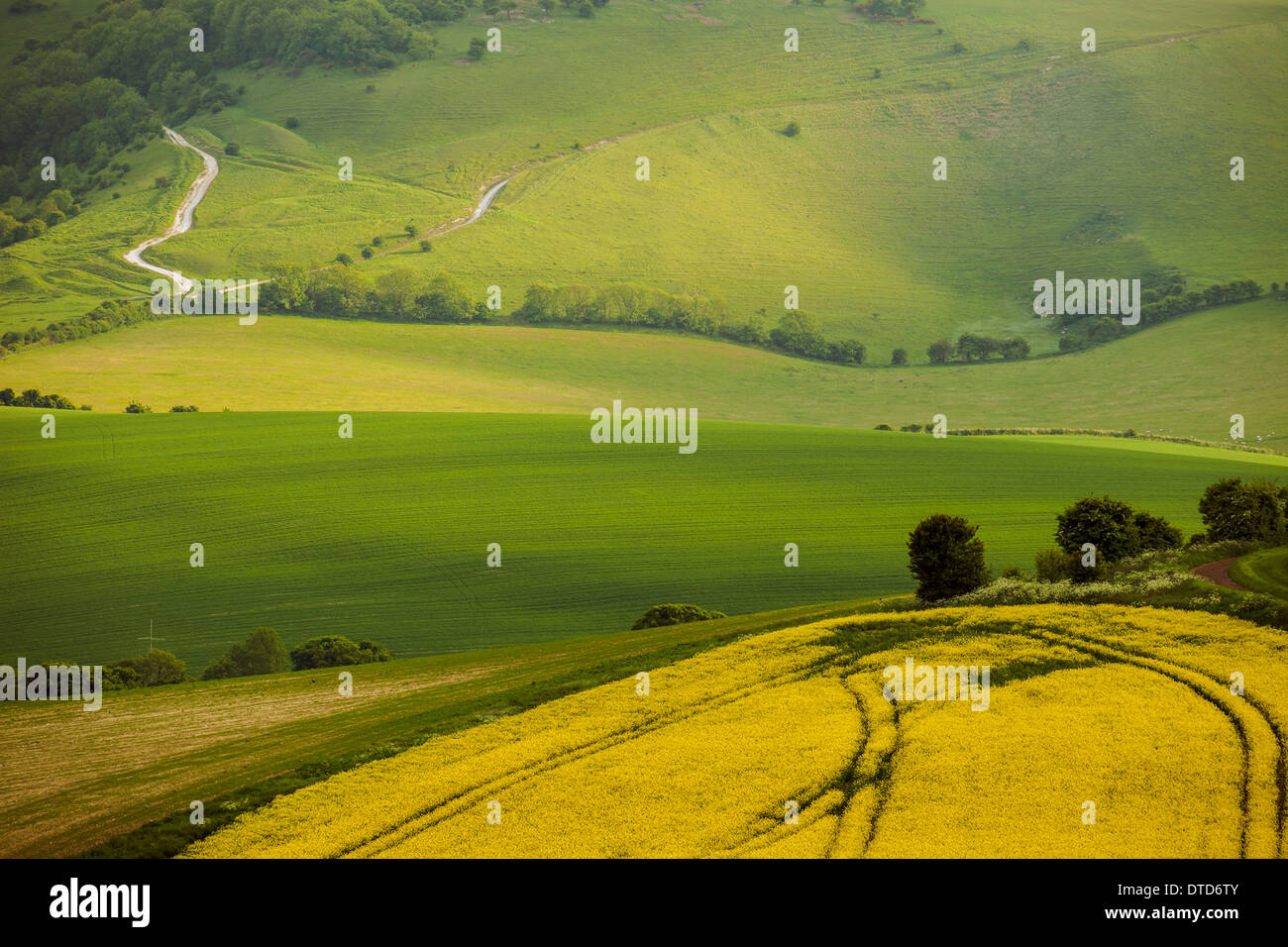 Spring in South Downs National Park, East Sussex, England Stock Photo ...
