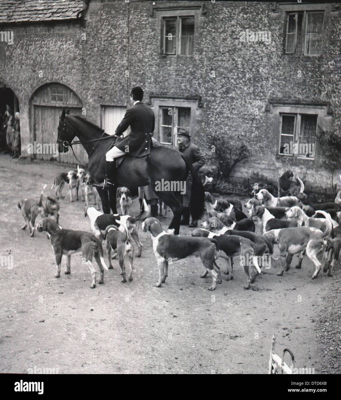 1950s and an historical picture of a master of a fox hunt with his dogs ...