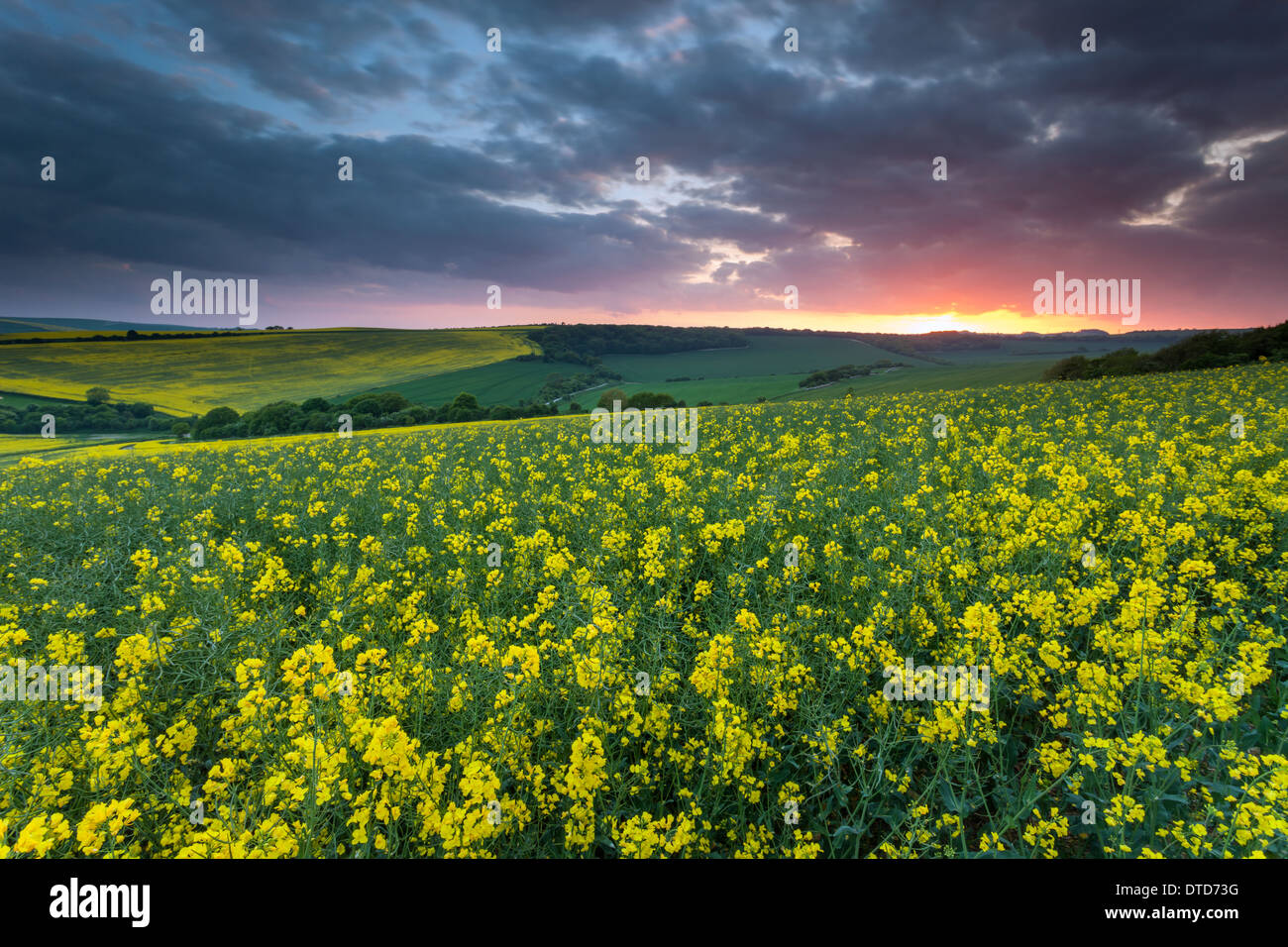 Spring sunset in South Downs National Park, East Sussex, England Stock ...