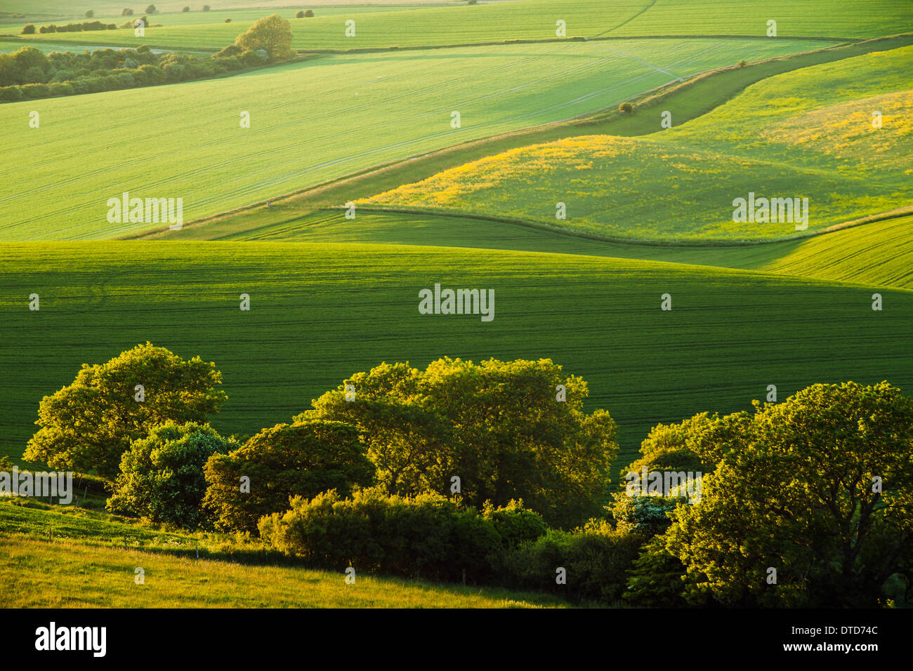 Storrington Sussex High Resolution Stock Photography and Images - Alamy