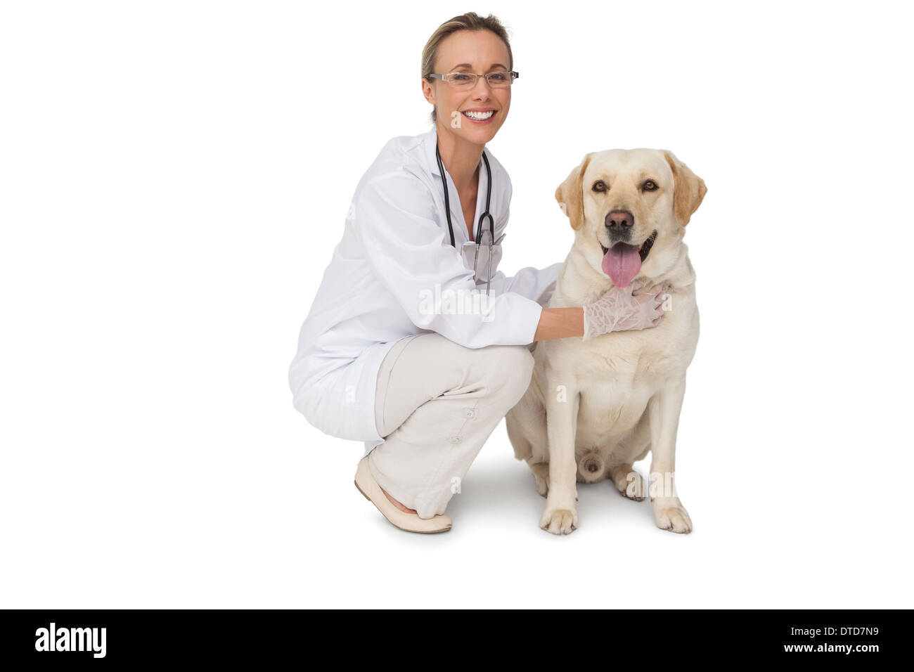 Woman vet petting dog hi-res stock photography and images - Alamy