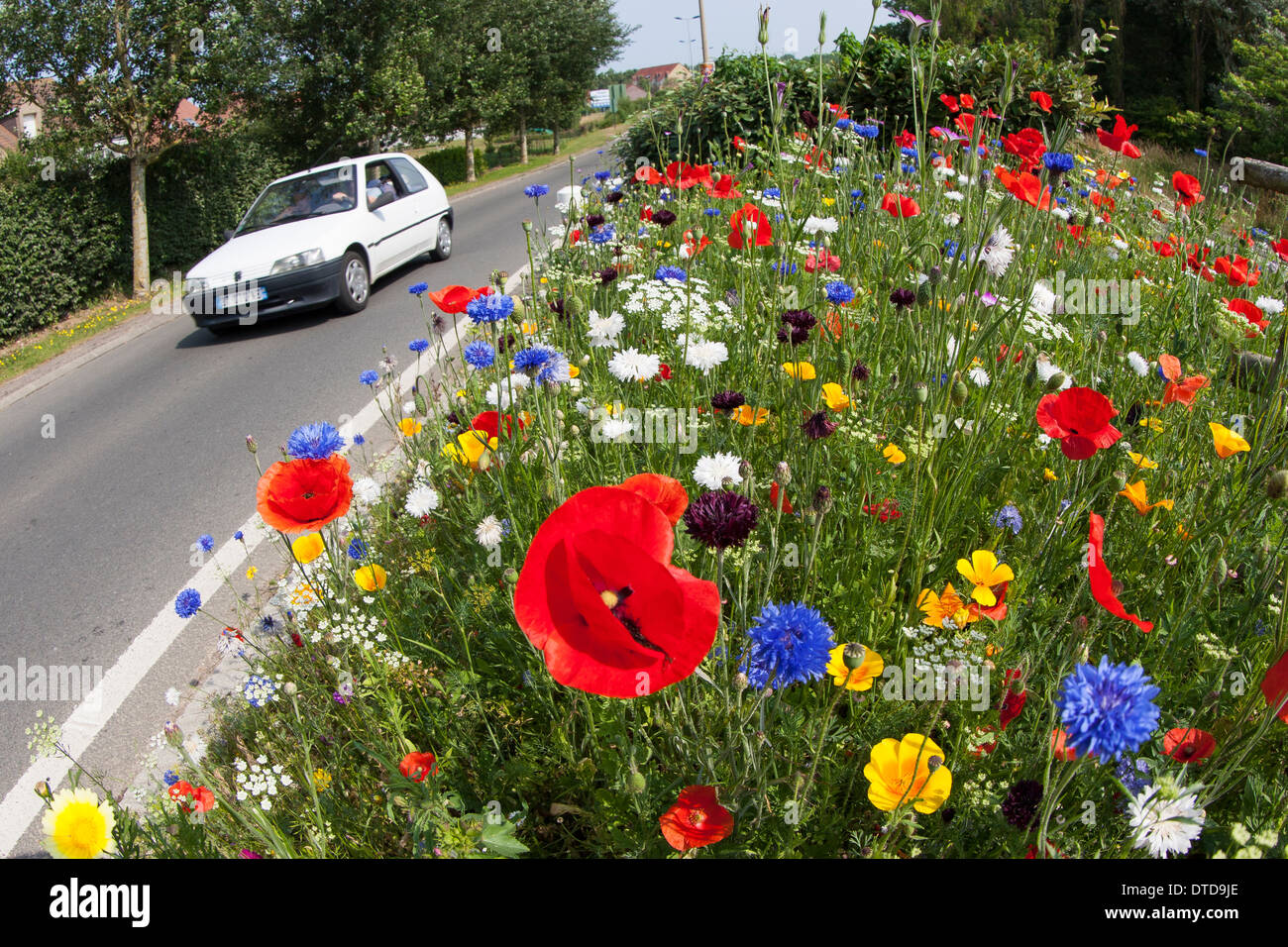 Traffic island flower bed hi-res stock photography and images - Alamy