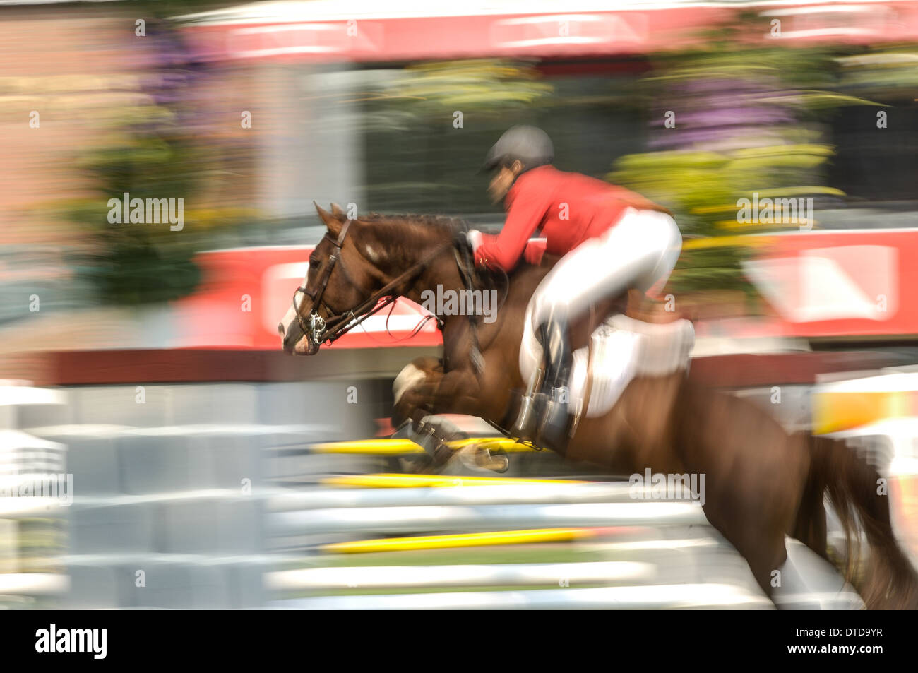 Showjumper hi-res stock photography and images - Alamy