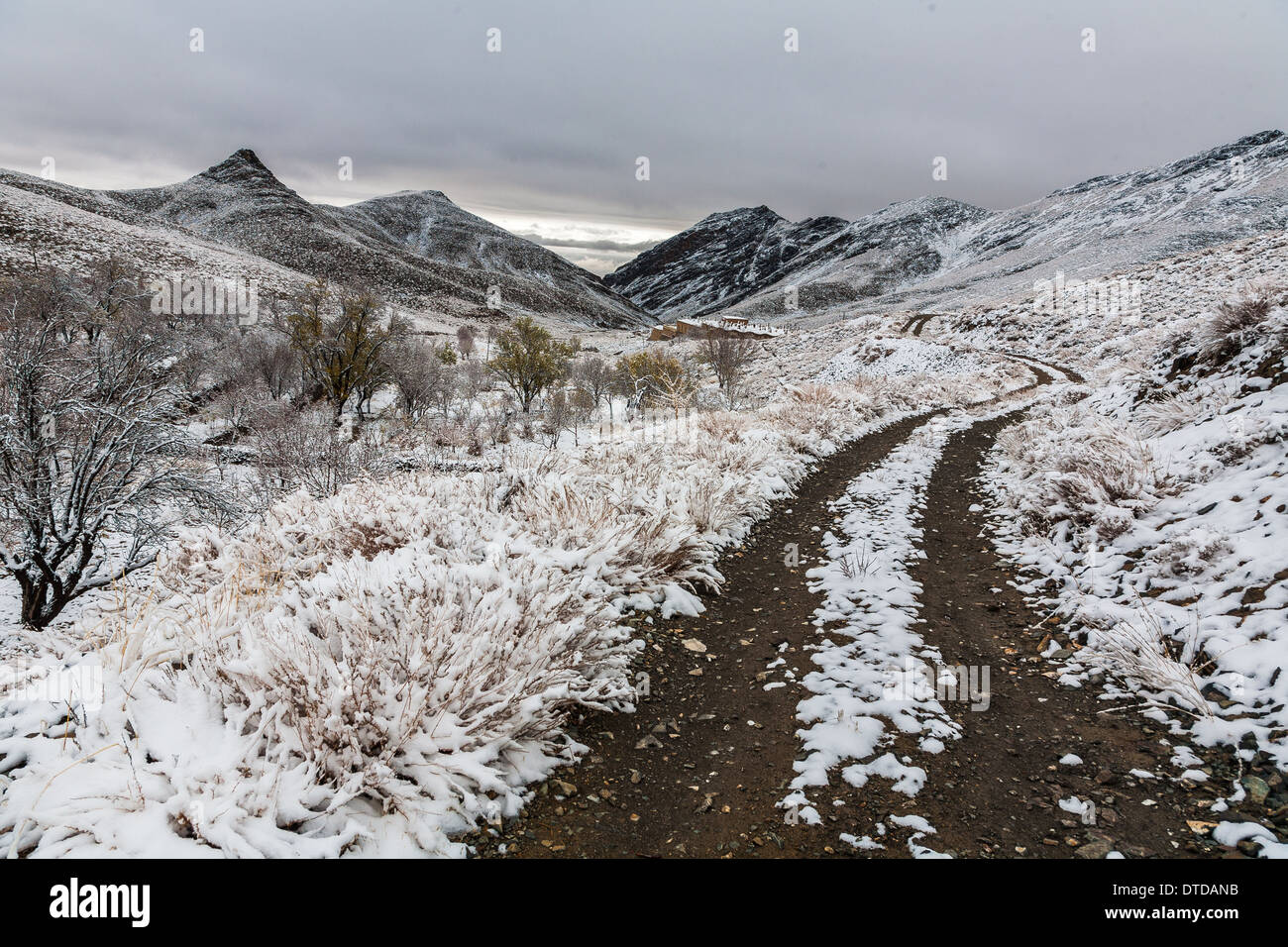 Fresh snow landscape Stock Photo - Alamy