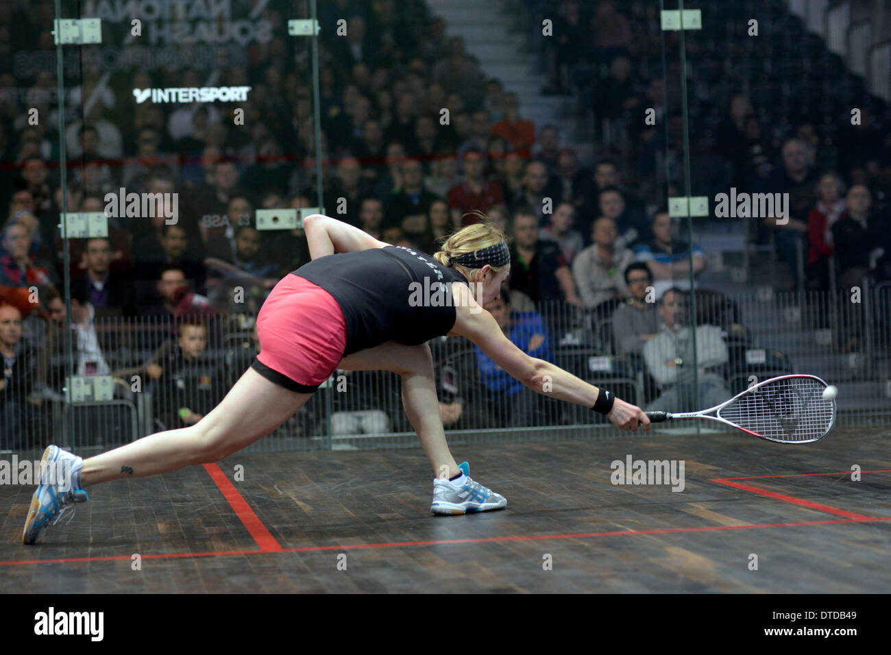 Squash player alison waters hi-res stock photography and images - Alamy