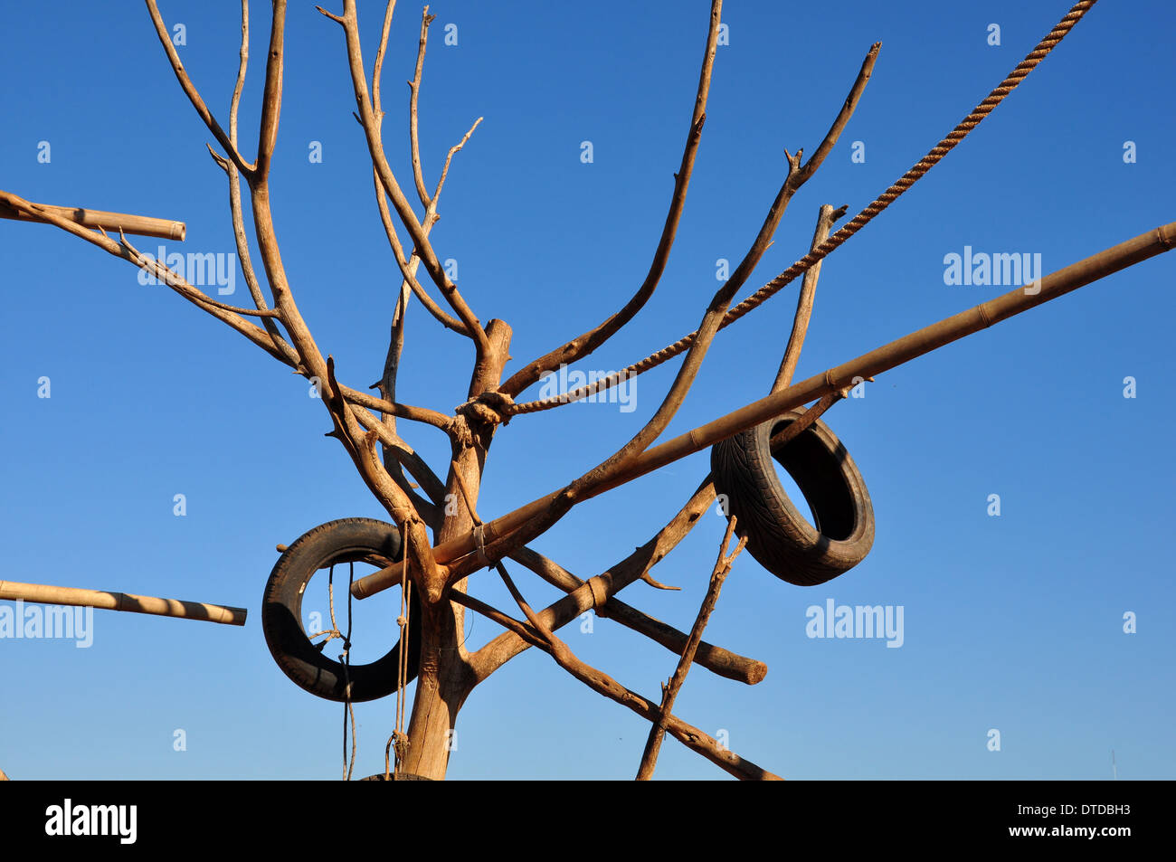 Tree with rubber tires and rope for animals at the zoo Stock Photo - Alamy