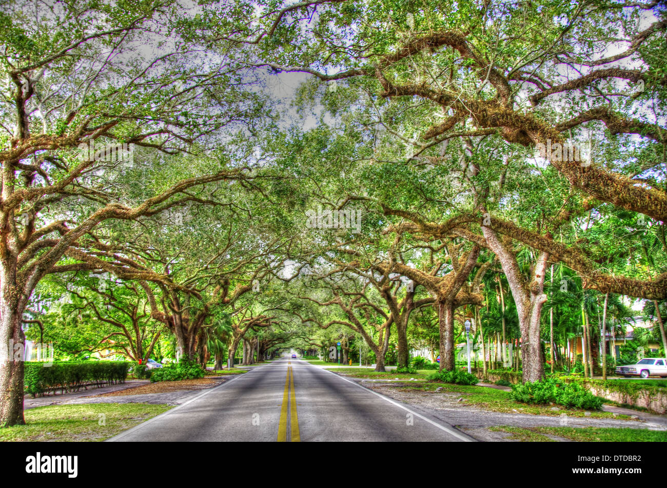Coral way hi-res stock photography and images - Alamy