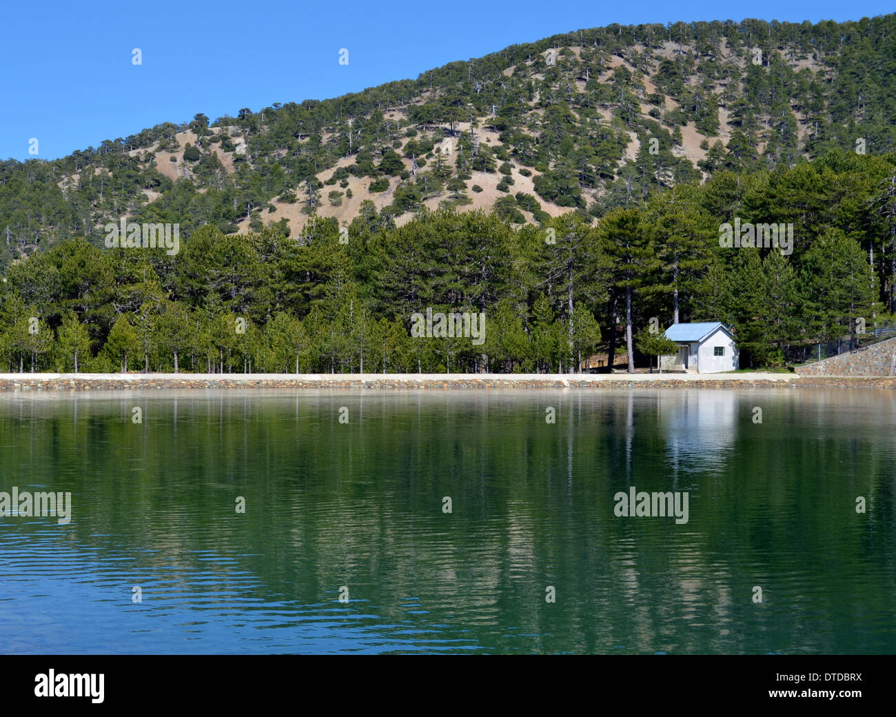Old log and lake hi-res stock photography and images - Alamy