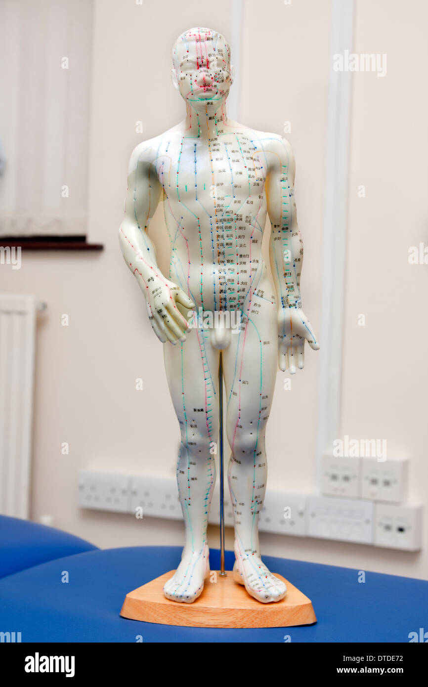 Acupuncture meridians hi-res stock photography and images - Alamy