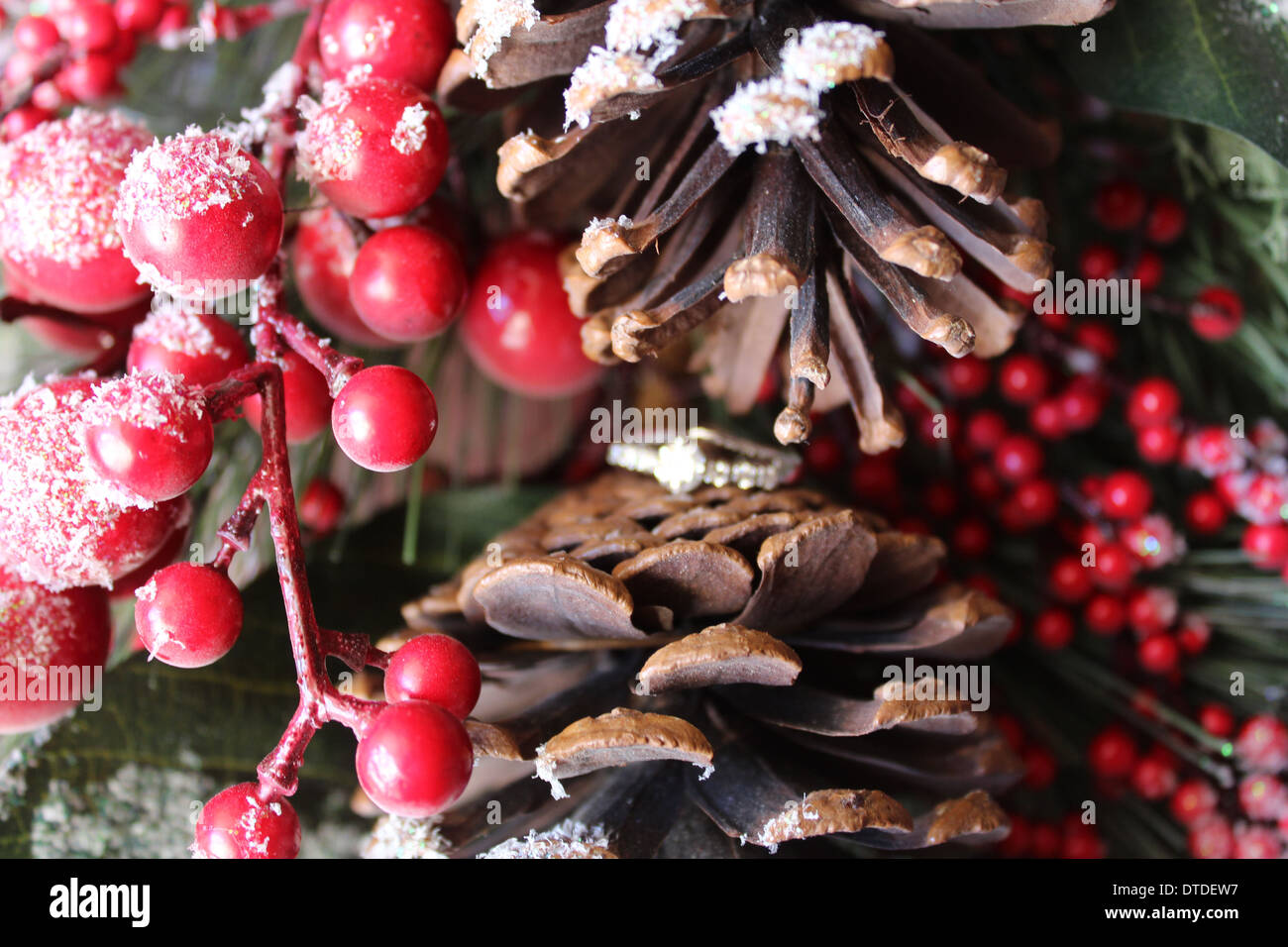 Frost ring hi-res stock photography and images - Alamy