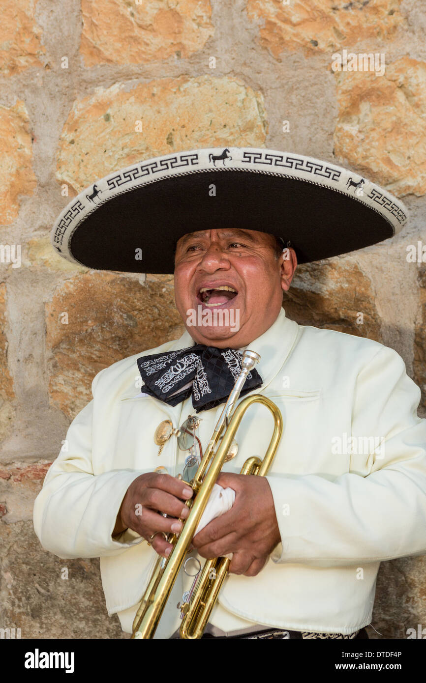 A mariachi musician dressed in traditional charro costumes November 5 ...