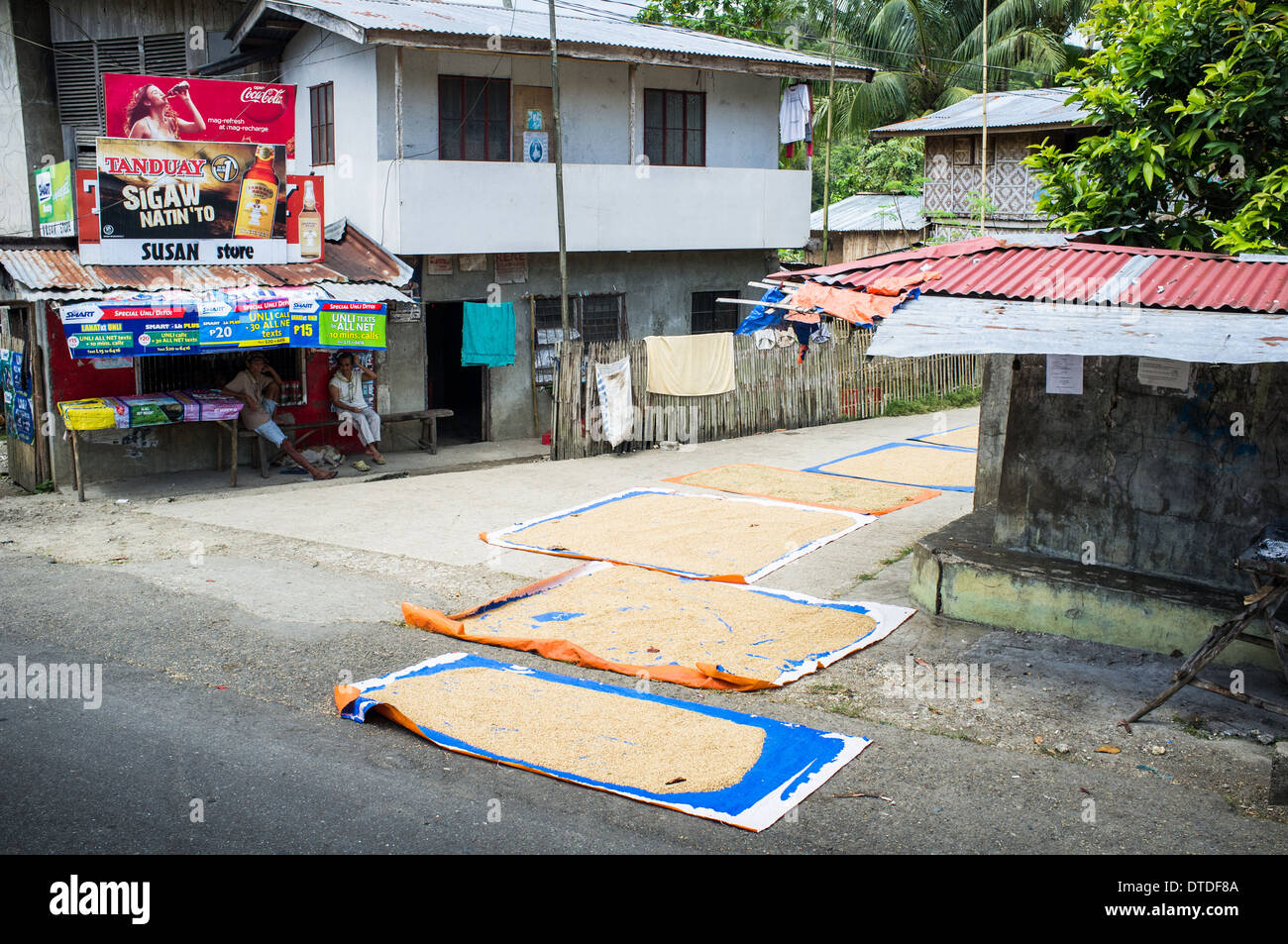 rice drying to reduce humidity, Bohol, Philippines Stock Photo - Alamy