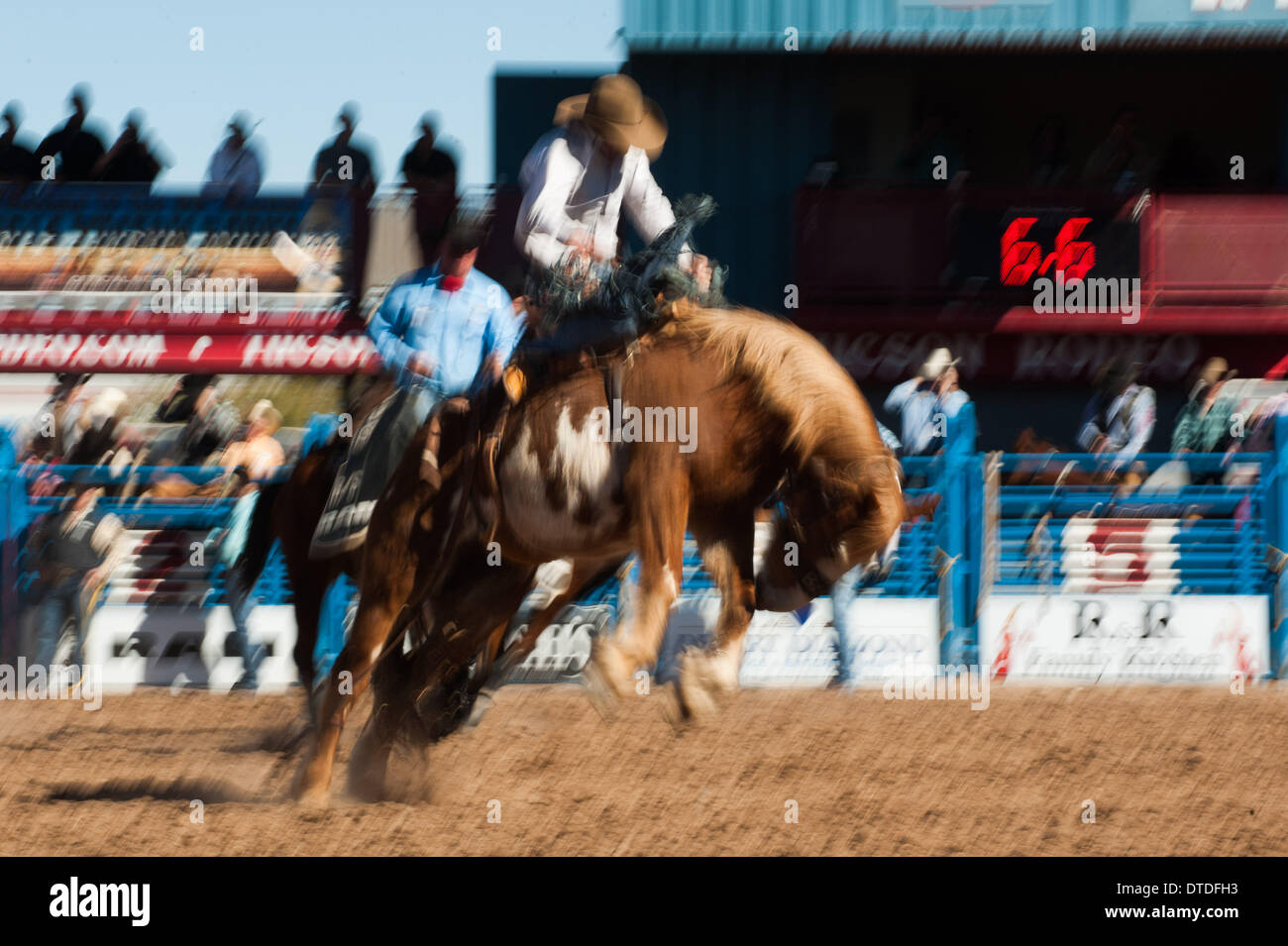Tucson, Arizona, USA. 15th Feb, 2014. TYLER CORRINGTON rides a saddle ...