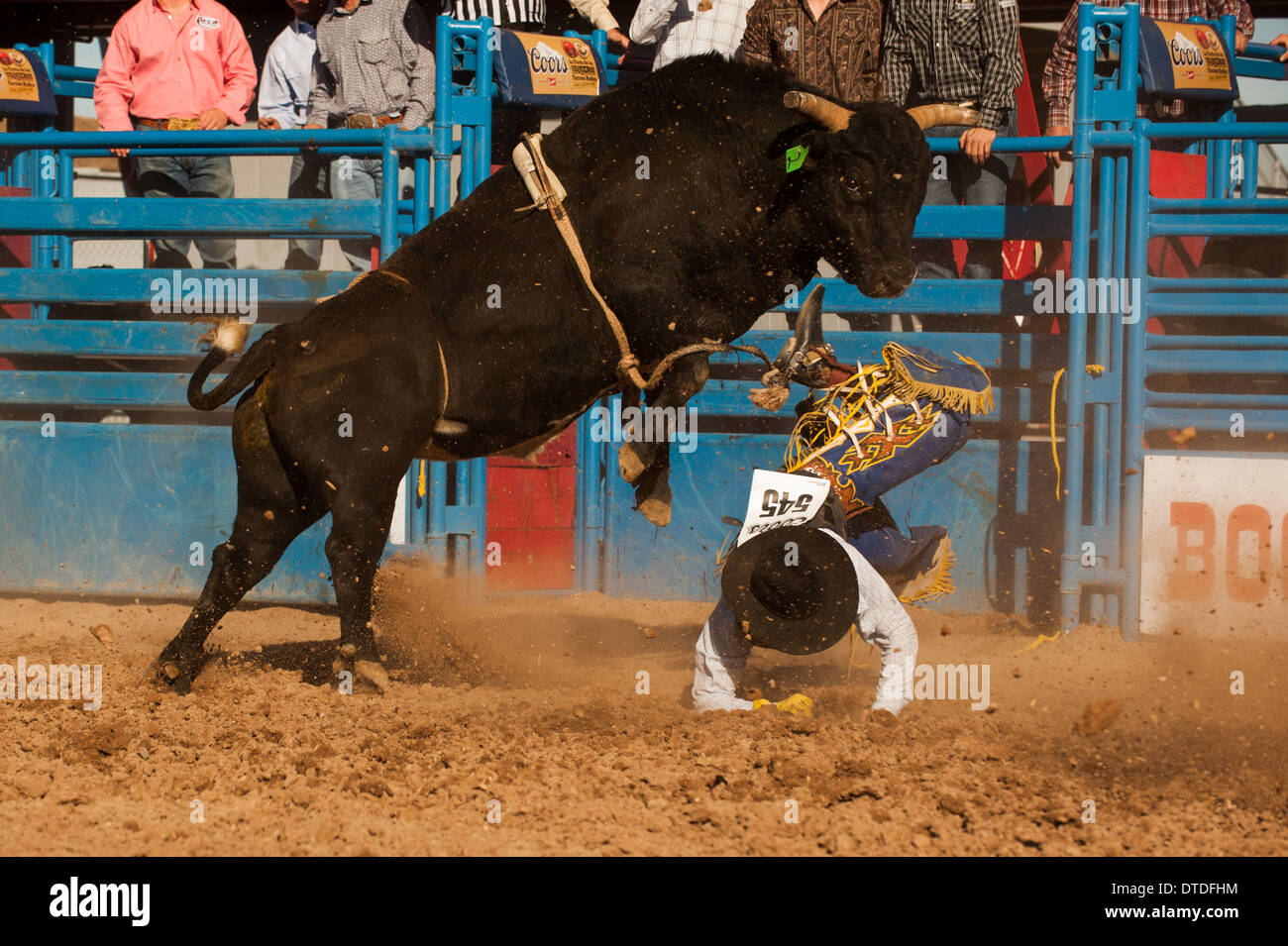 Tyler wyatt hi-res stock photography and images - Alamy