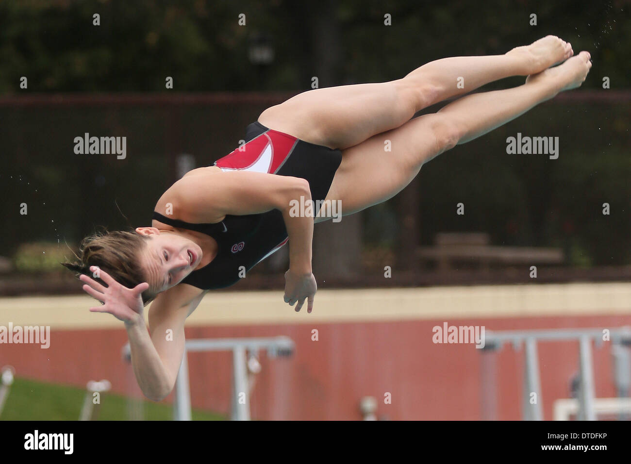Stanford, California, USA. 15th Feb, 2014. Stanford diver Stephanie ...