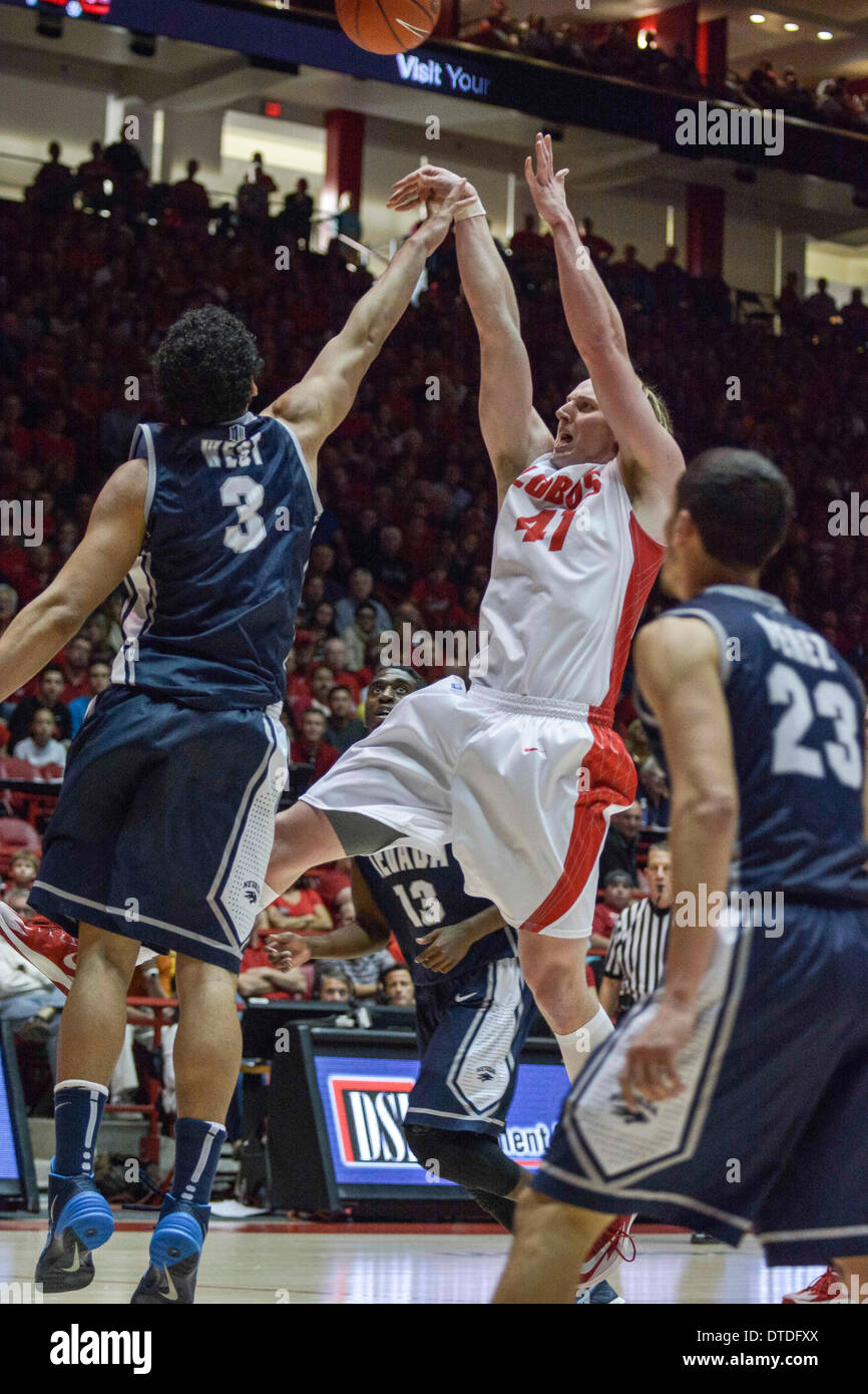 Albuquerque, New Mexico. 15th Feb, 2014. New Mexico Lobos forward ...