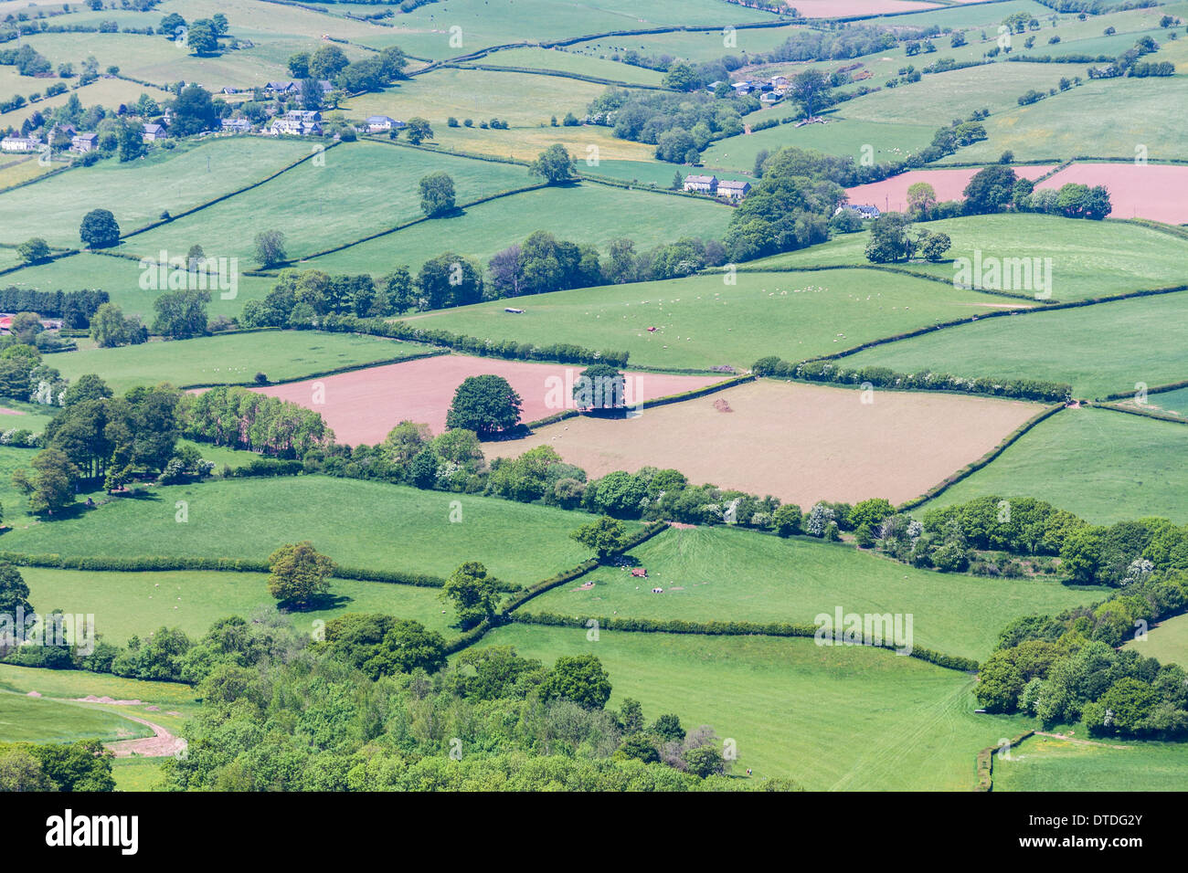 Patchwork fields at Mynydd Illtud common at the Mountain Centre in the ...