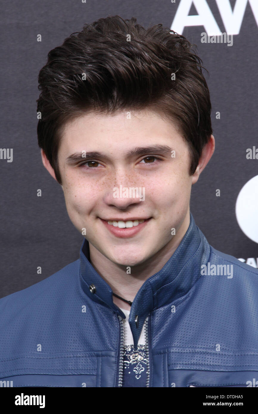 Los Angeles, California, USA. 15th Feb, 2014. Mateus Ward attends ...