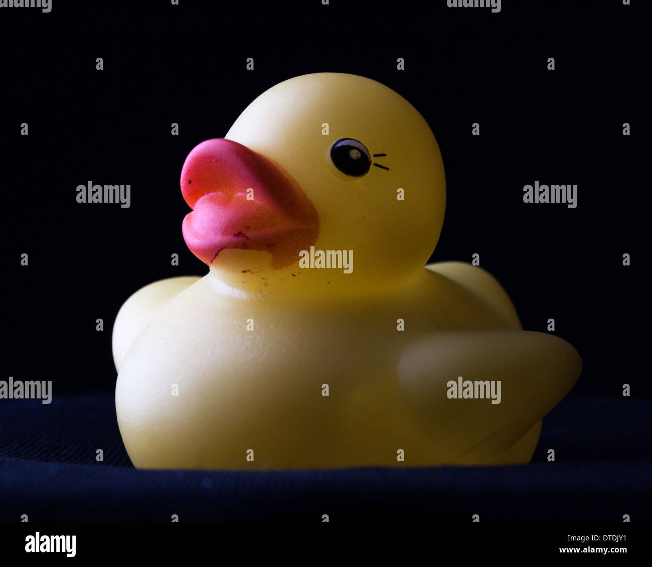 one rubber duck Stock Photo - Alamy