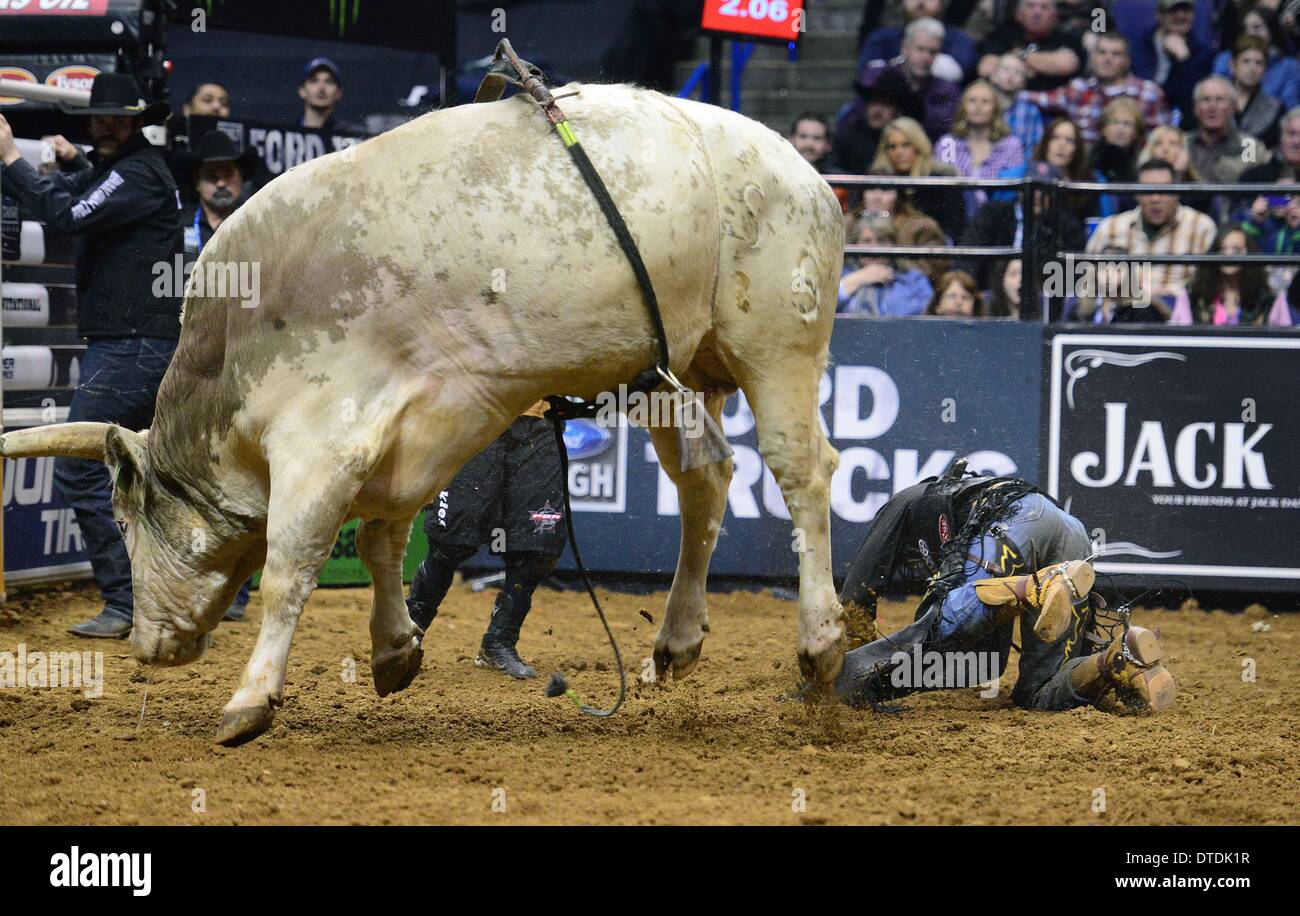 Austin meier professional bull rider hi-res stock photography and ...