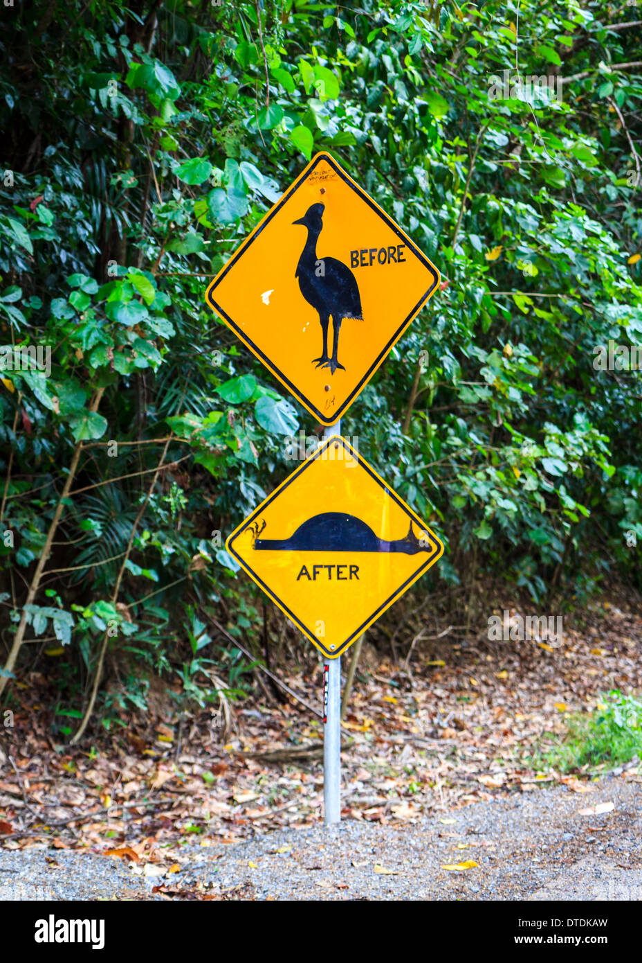 Yellow road sign warning drivers to slow down for cassowary crossing ...