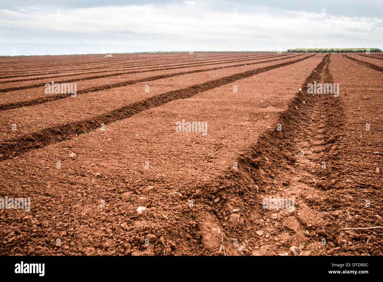 Agricultural field ready for sowing Stock Photo - Alamy