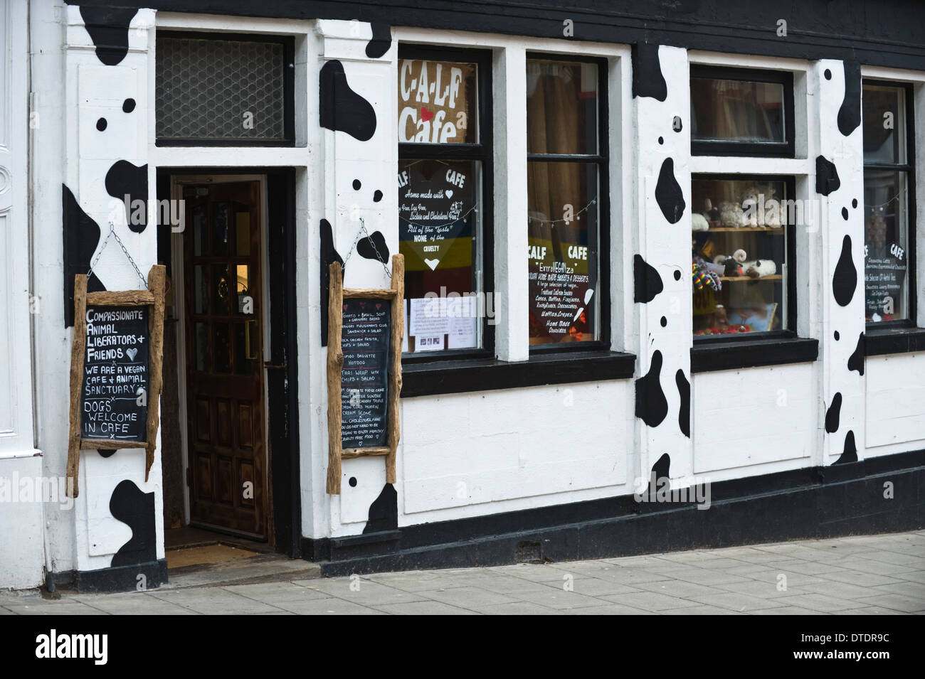 CALF vegan cafe in Scarborough North Yorkshire England UK Stock Photo ...
