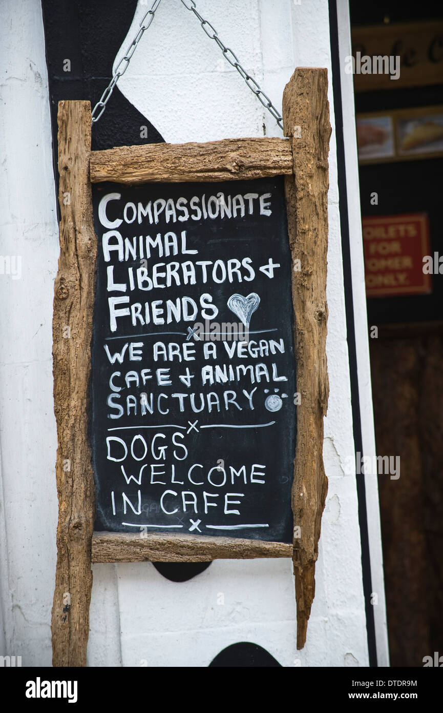 CALF vegan cafe in Scarborough North Yorkshire England UK Stock Photo ...