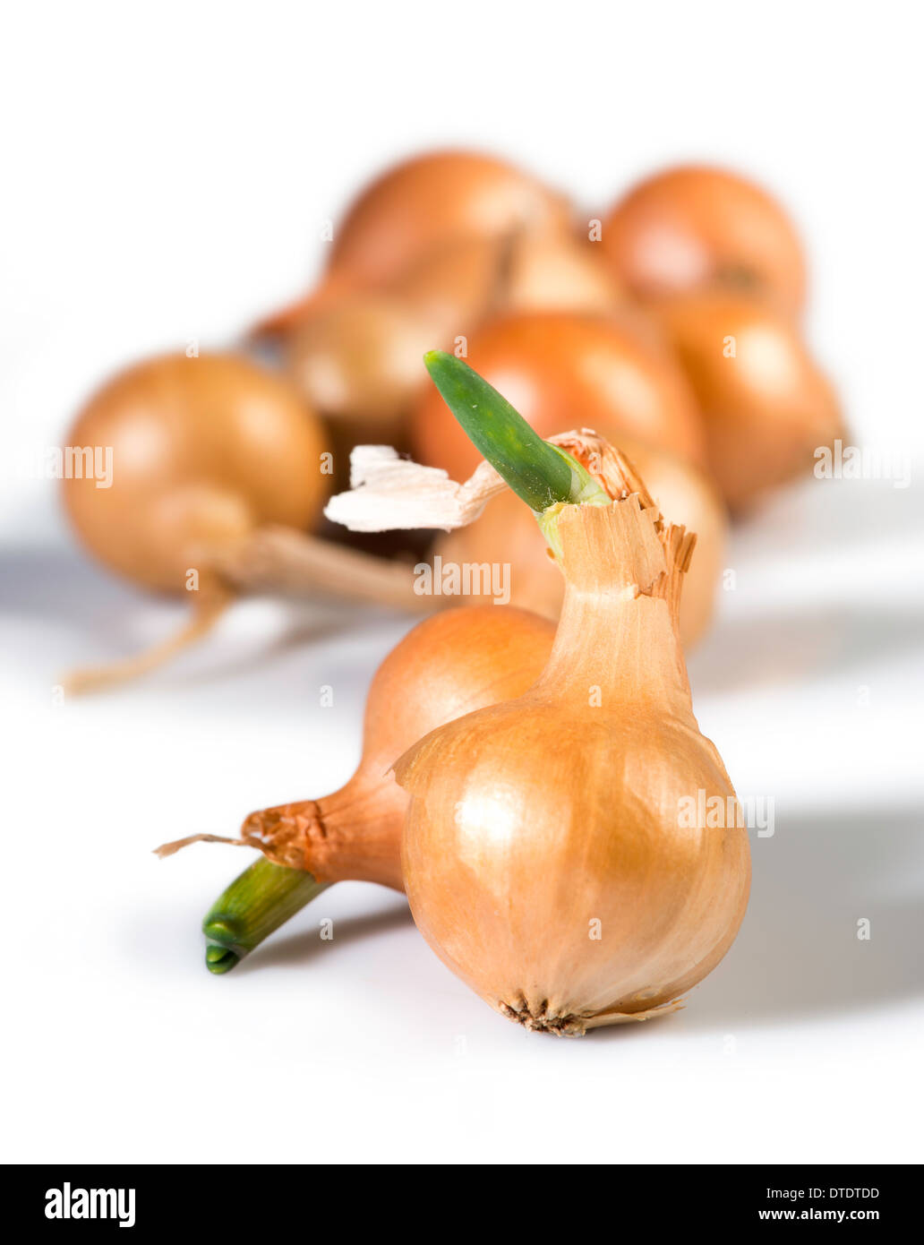 Small onions on white background Stock Photo - Alamy