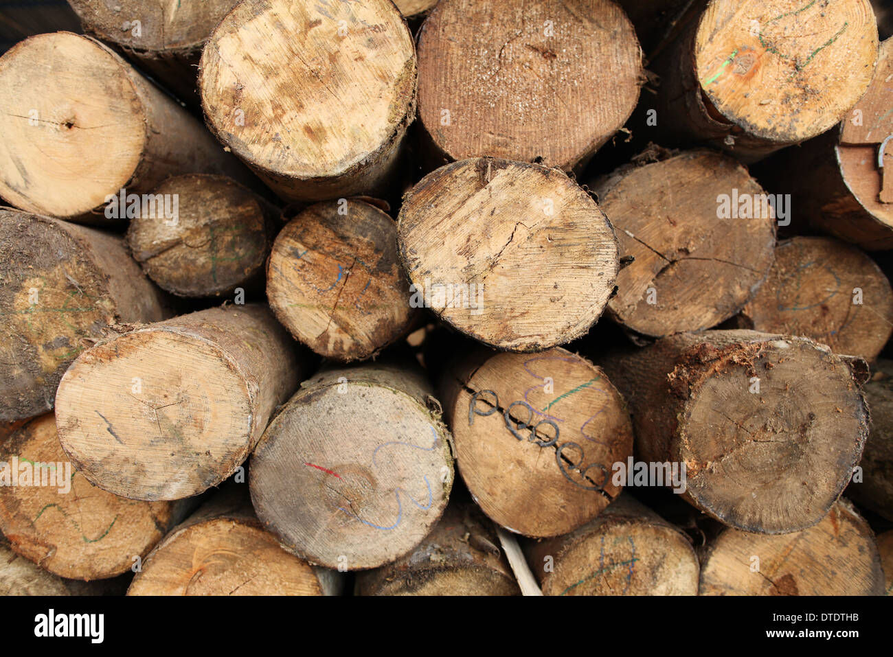 Log wood texture backgrounds Stock Photo - Alamy