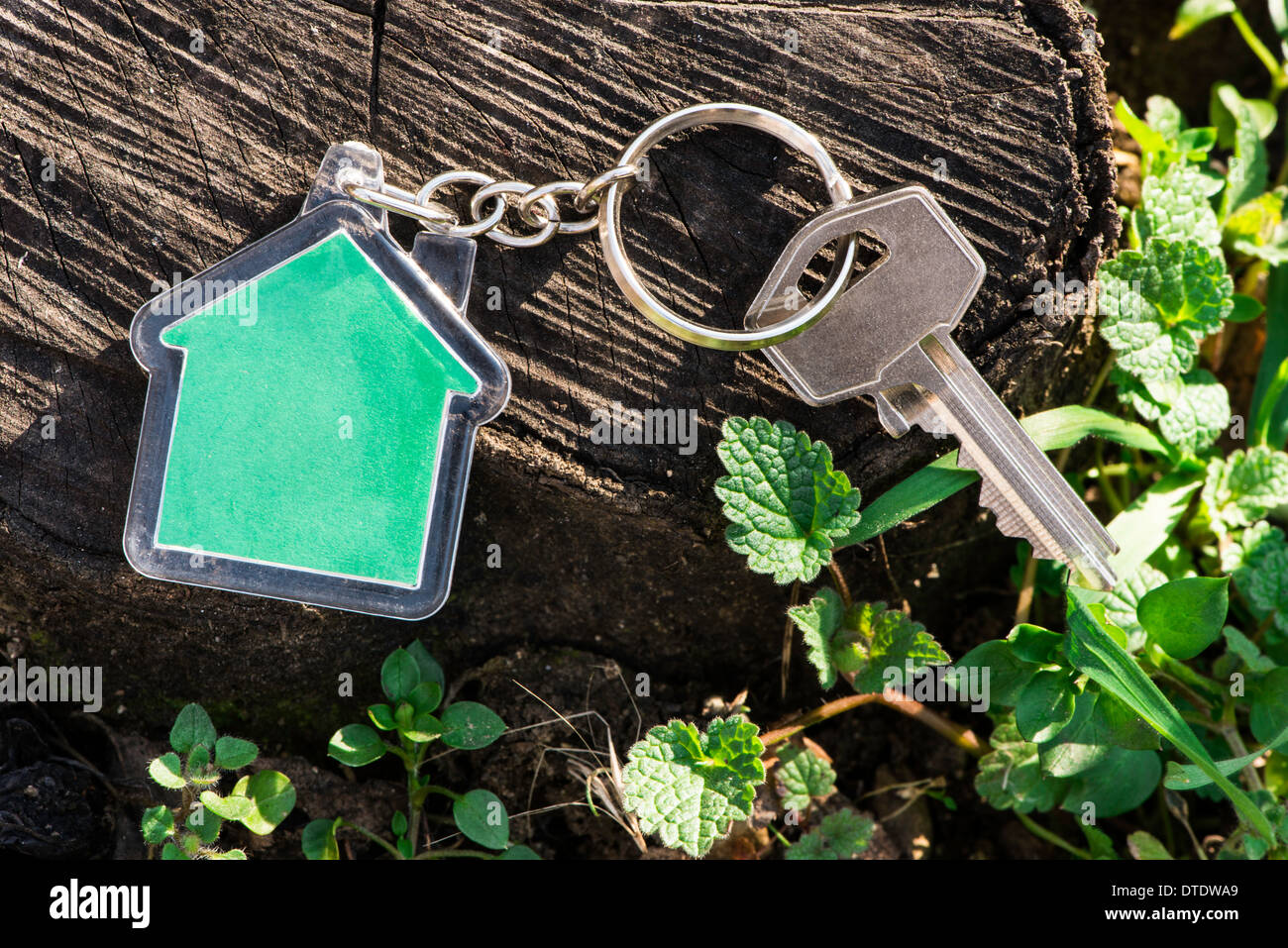 Keychain in a shape of house on wood. Green color house Stock Photo - Alamy