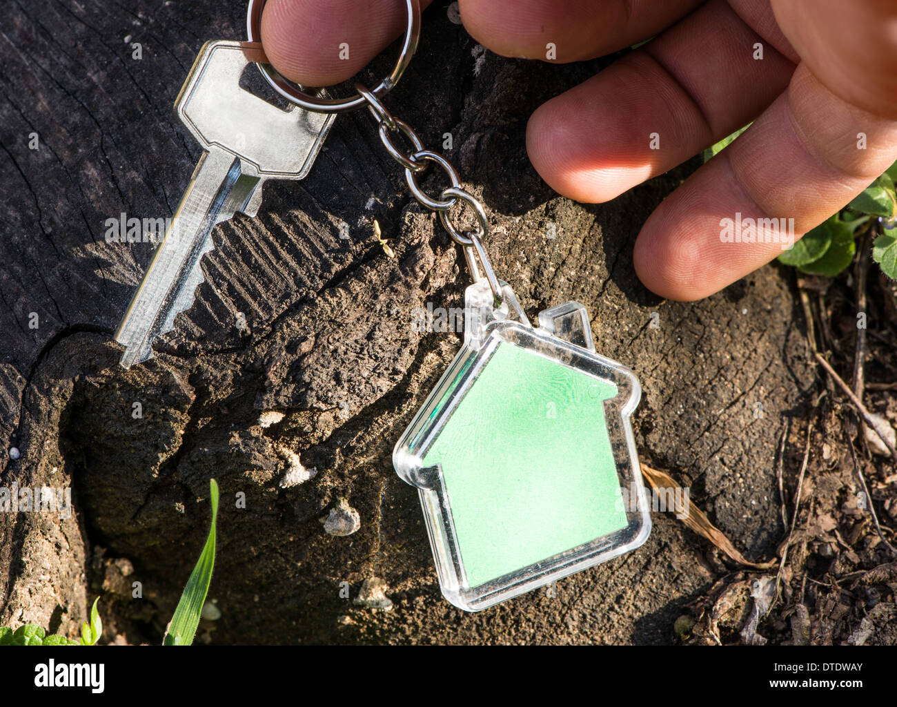 Keychain in a shape of house on wood. Green color house Stock Photo - Alamy