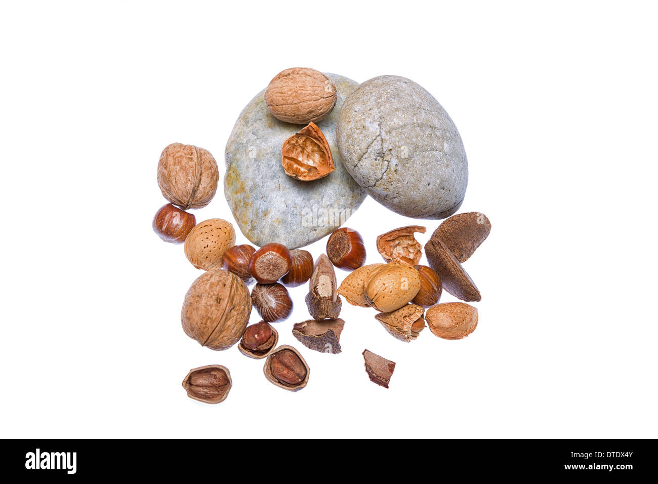 Brazil seed hi-res stock photography and images - Alamy