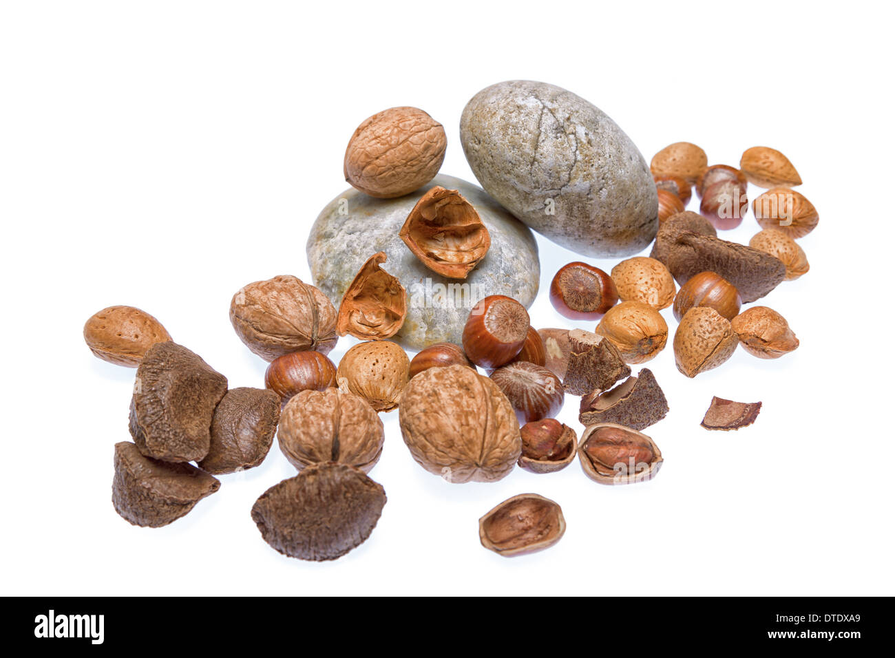 Brazil seed hi-res stock photography and images - Alamy