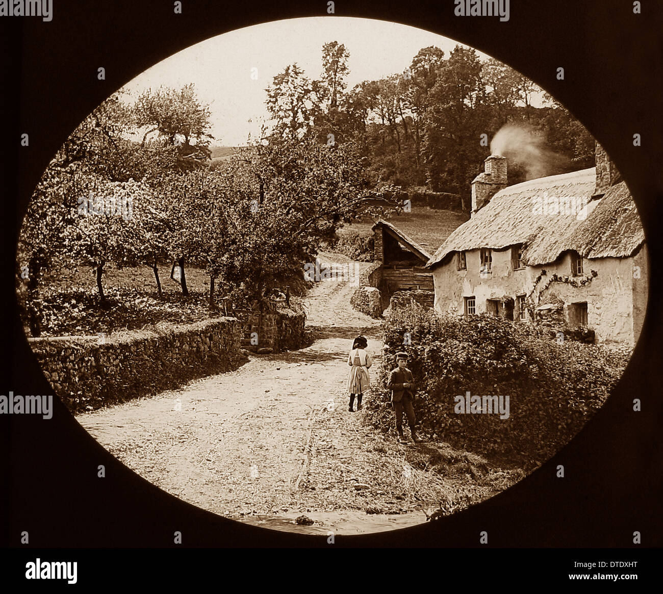 Devon country lane hi-res stock photography and images - Alamy