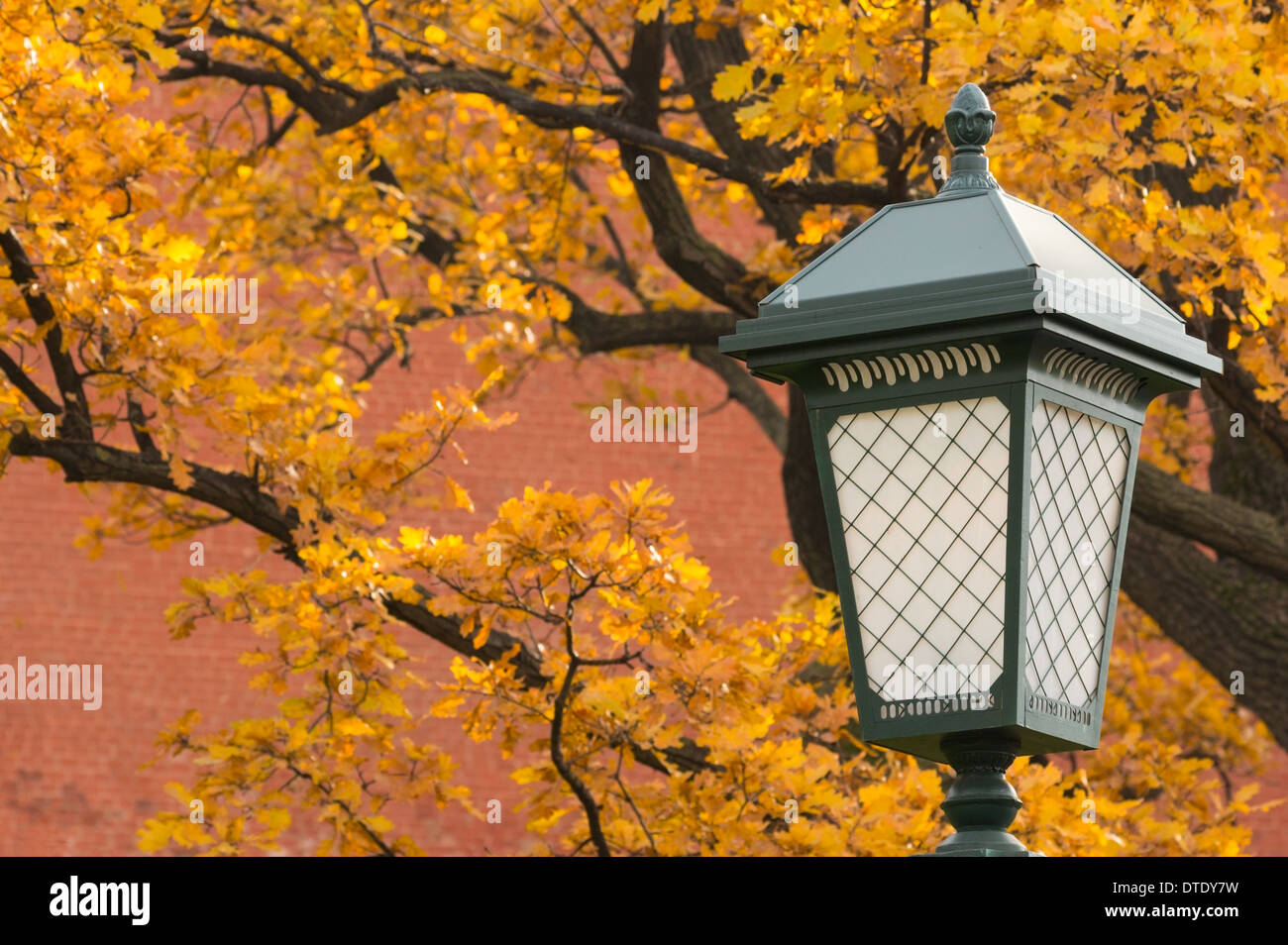 Classic style street-lamp with autumn tree and red wall bacground Stock ...