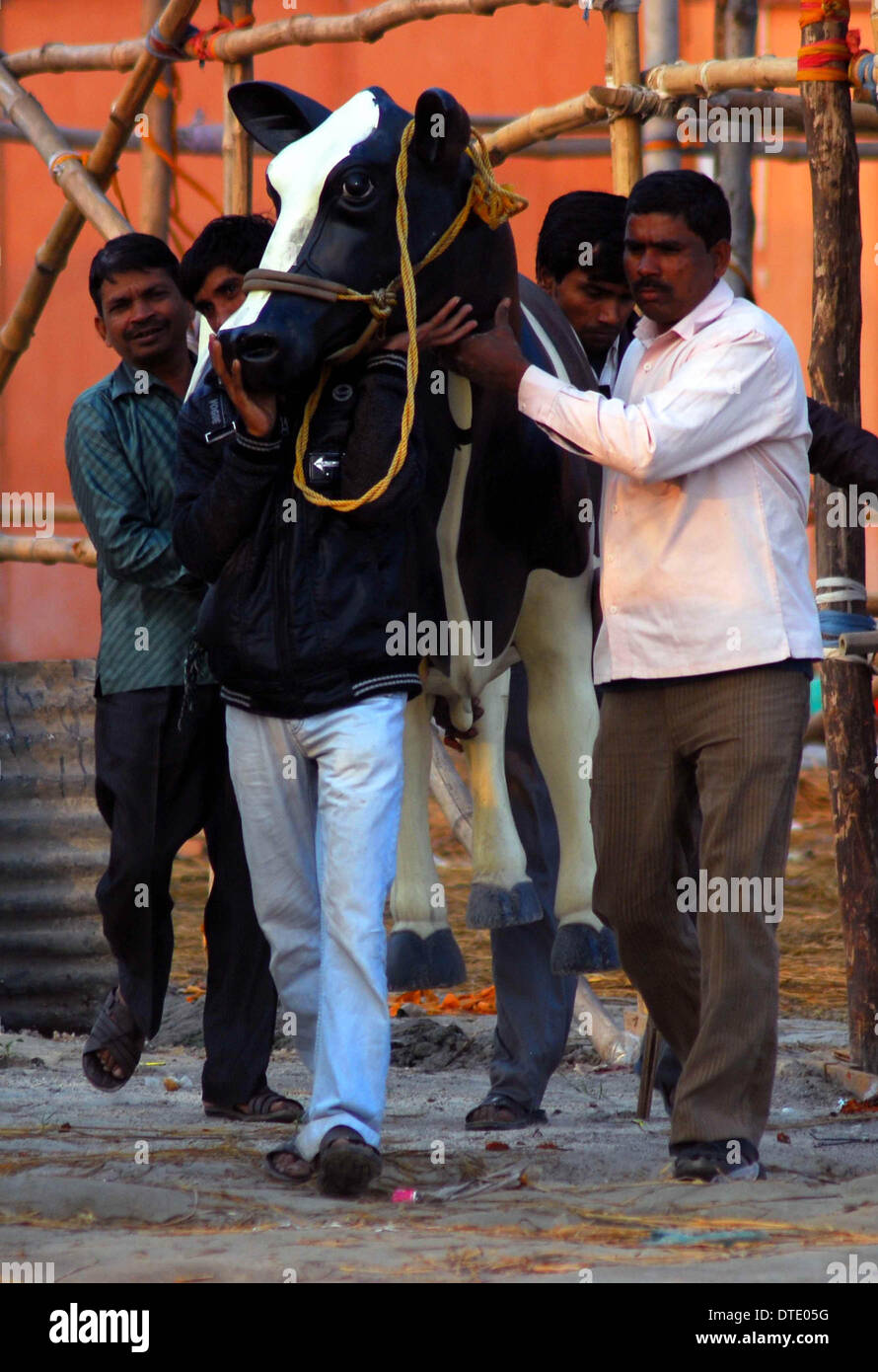 Allahabad: People carrying a cow's statue to return as the Magh mela ...
