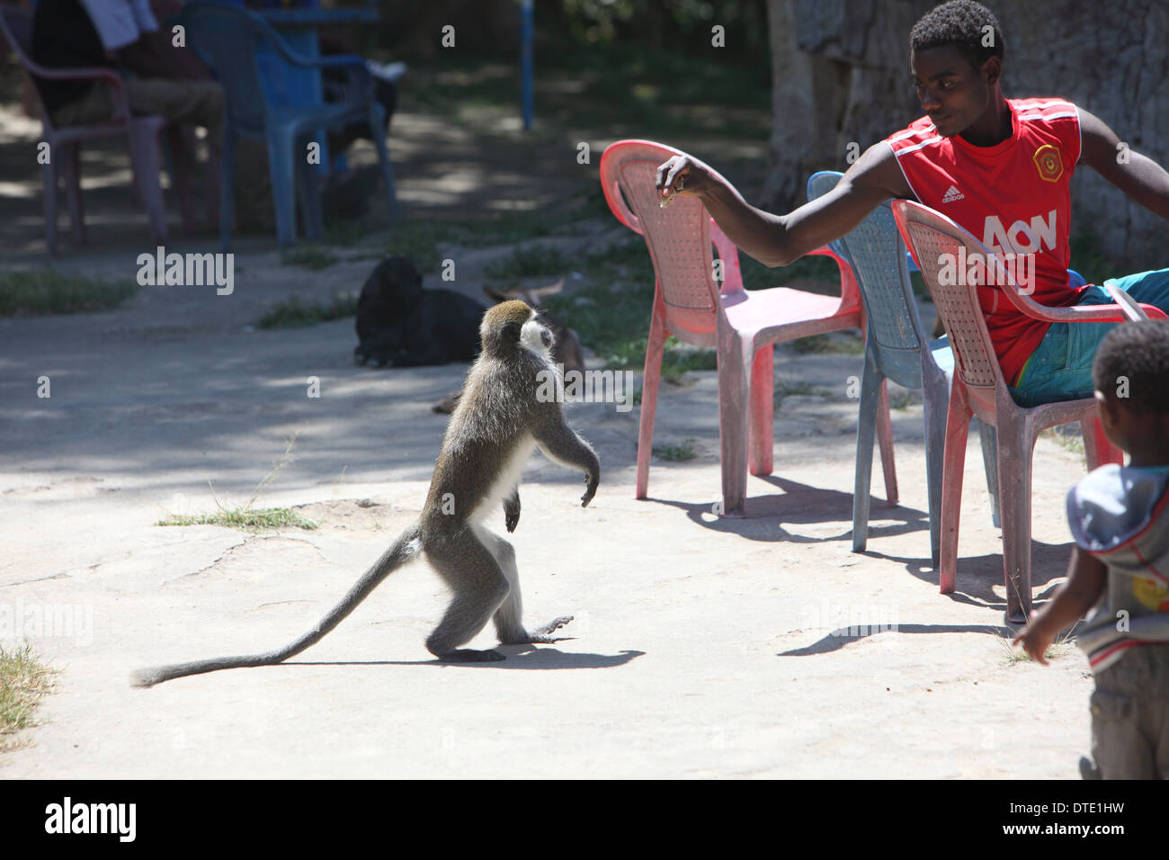 Ethiopia, Africa, Hawassa, Awassa, Awasa, the Great Rift Valley Stock ...