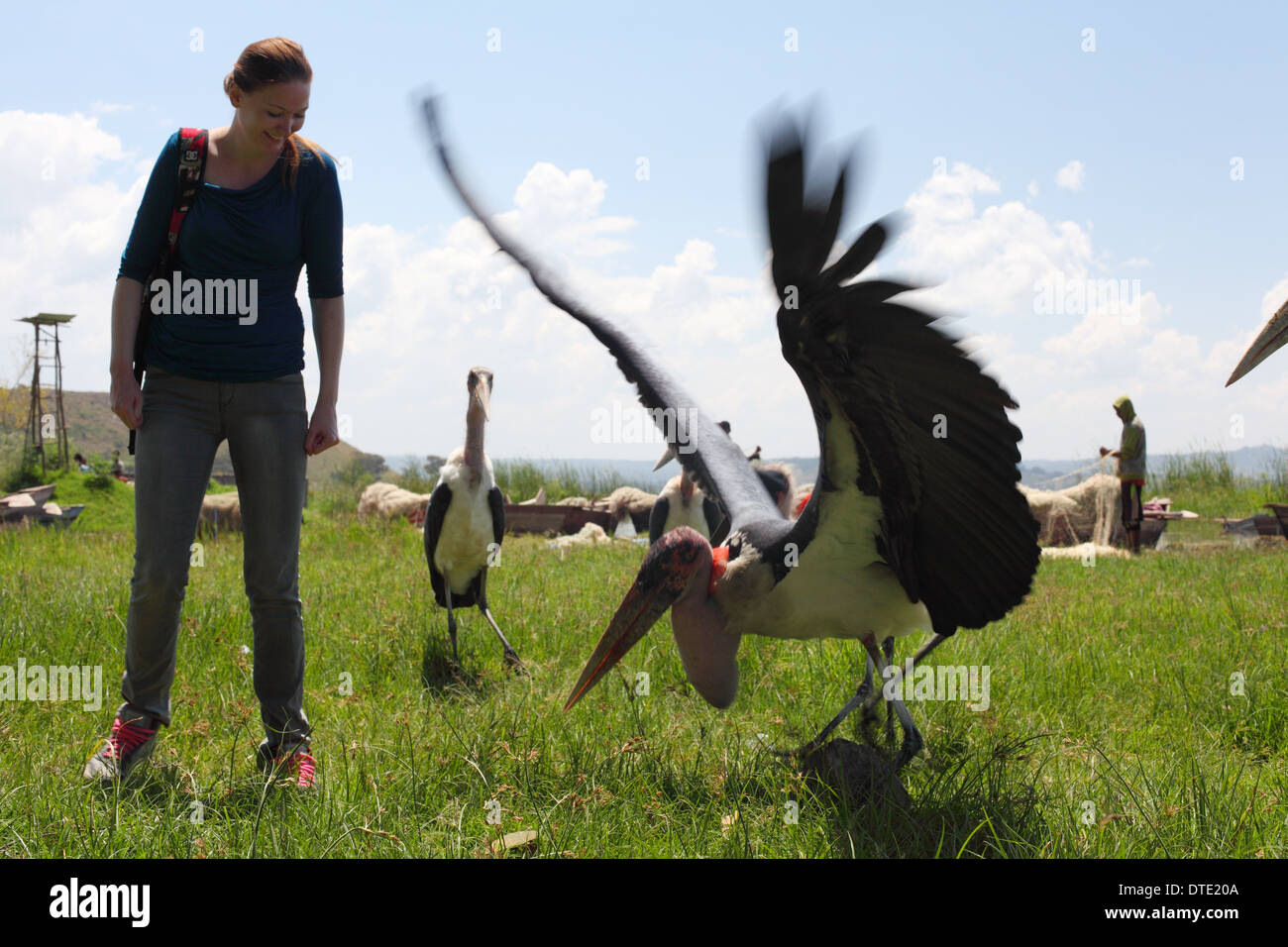 Ethiopia, Africa, Hawassa, Awassa, Awasa, the Great Rift Valley Stock ...