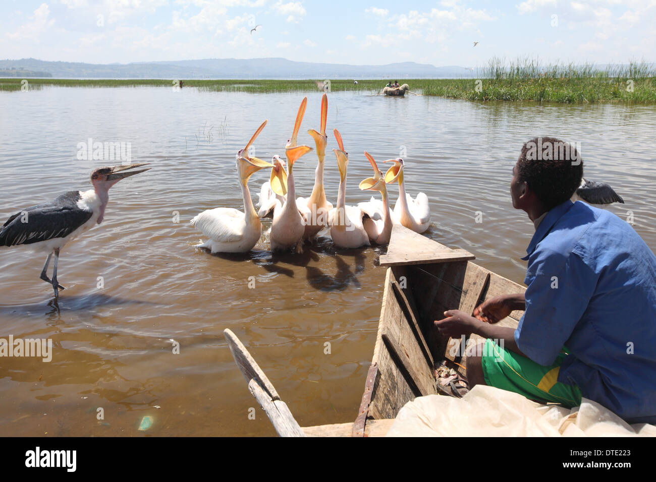 Hawassa fish market hi-res stock photography and images - Alamy