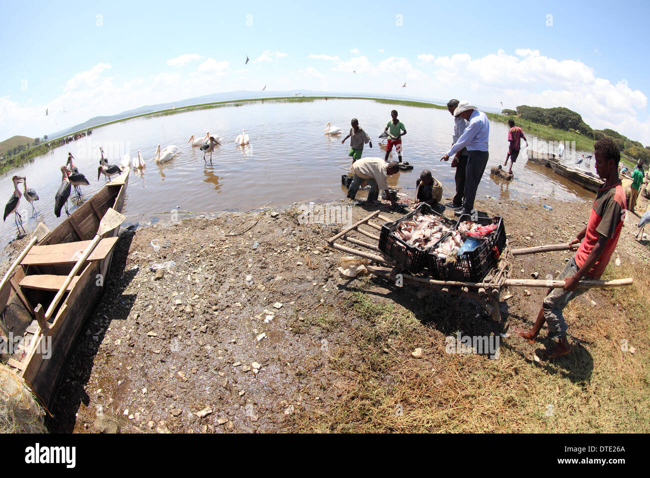 Hawassa fish market hi-res stock photography and images - Alamy