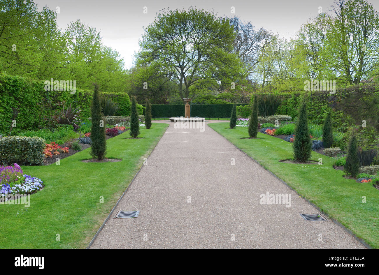 A beautiful alley in the Park with exotic plants Stock Photo - Alamy