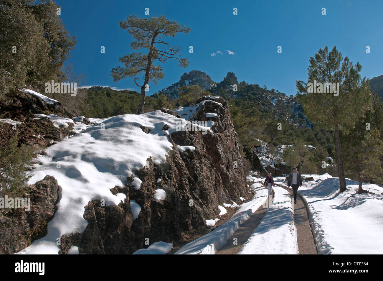 Snowed landscape, Natural Park Sierras de Cazorla Segura y Las Villas ...