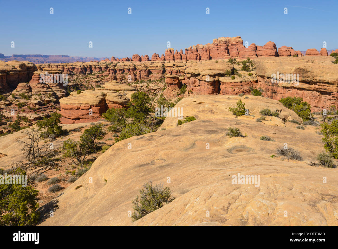 Rock Formations, The Needles section of Canyonlands National Park, Utah ...