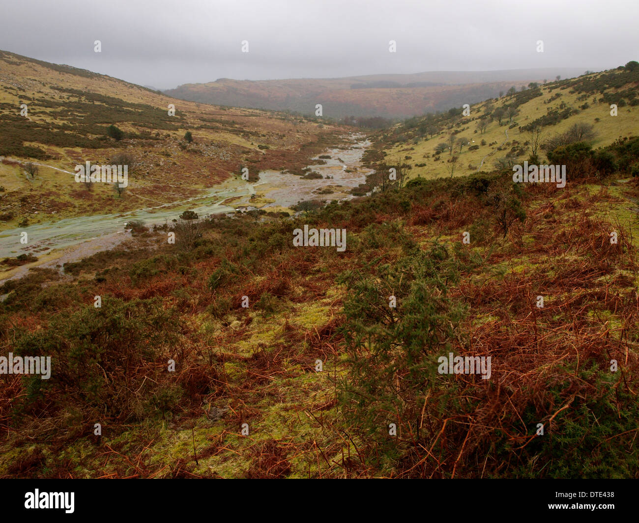 View along a valley on Dartmoor, Devon, UK Stock Photo - Alamy